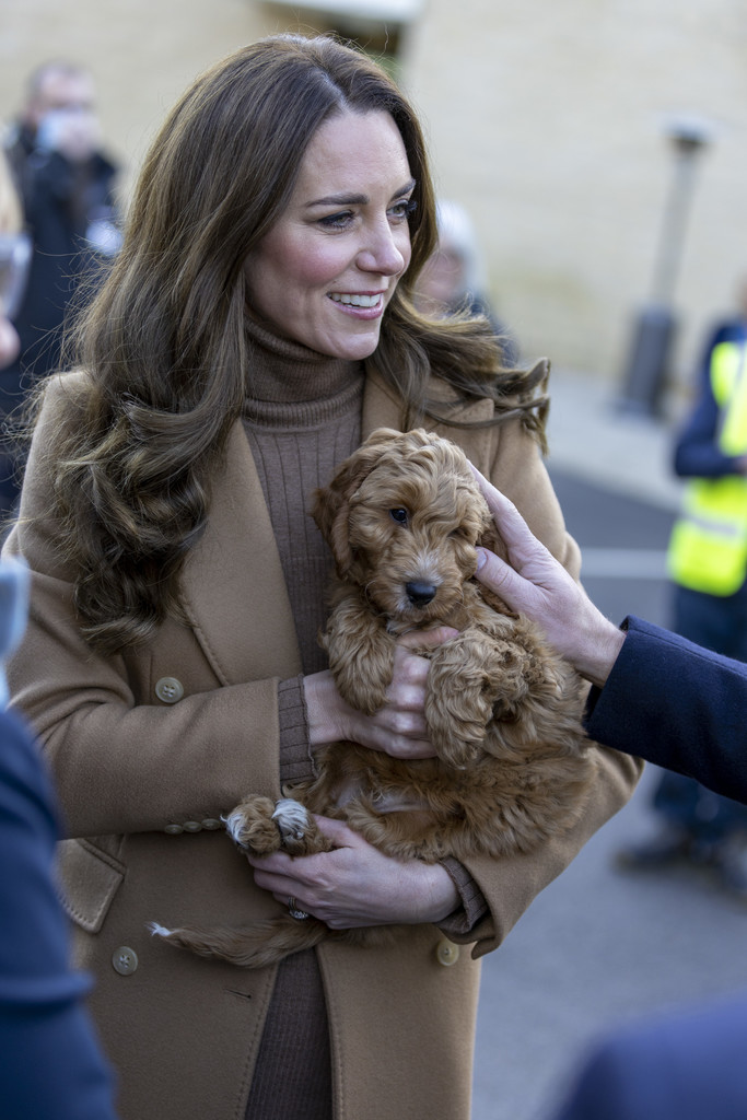 「Chic-lebrity」Kate Middleton visit Clitheroe Community Hospital – Mr. 布雷蕭