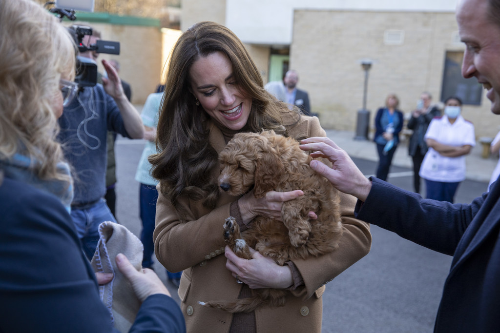 「Chic-lebrity」Kate Middleton visit Clitheroe Community Hospital – Mr. 布雷蕭